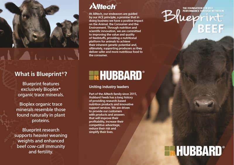 Alltech Hubbard Feeds Introduce New Blueprint Beef Nutrition Program ...