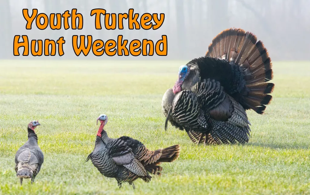 Youth Turkey Hunt Weekend | Lakes 101.5 FM