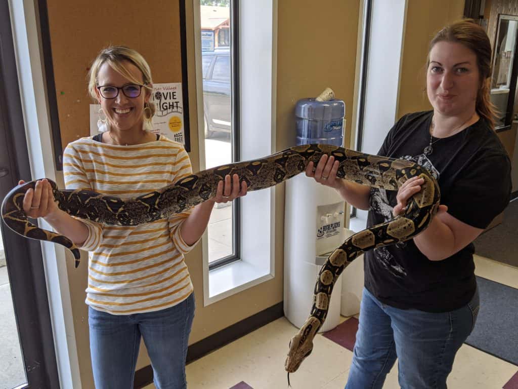 Local Snake Owners Bringing Pets To Carrington Park | News Dakota