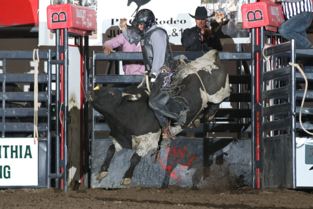 Badlands Circuit Selects Bucking Horses, Bulls of the Year and the ...