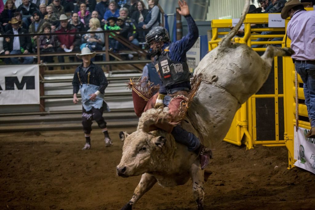Rodeos a Fixture at the N.D. Winter Show | News Dakota
