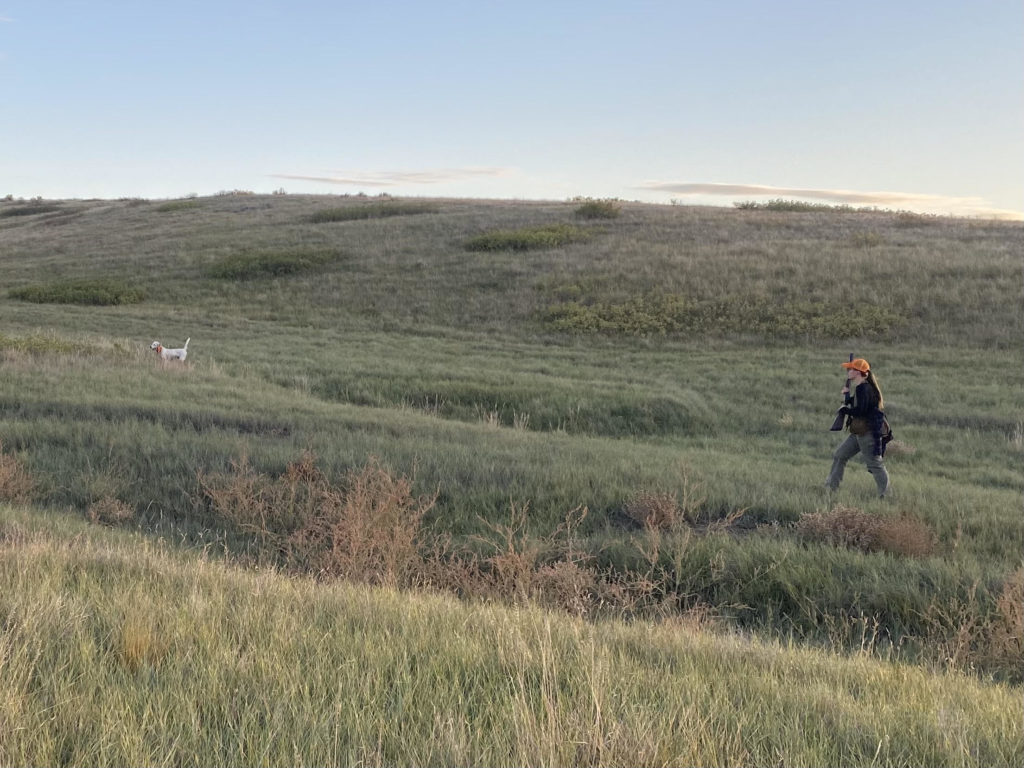 Learning the Value of the Perfect Shot | News Dakota