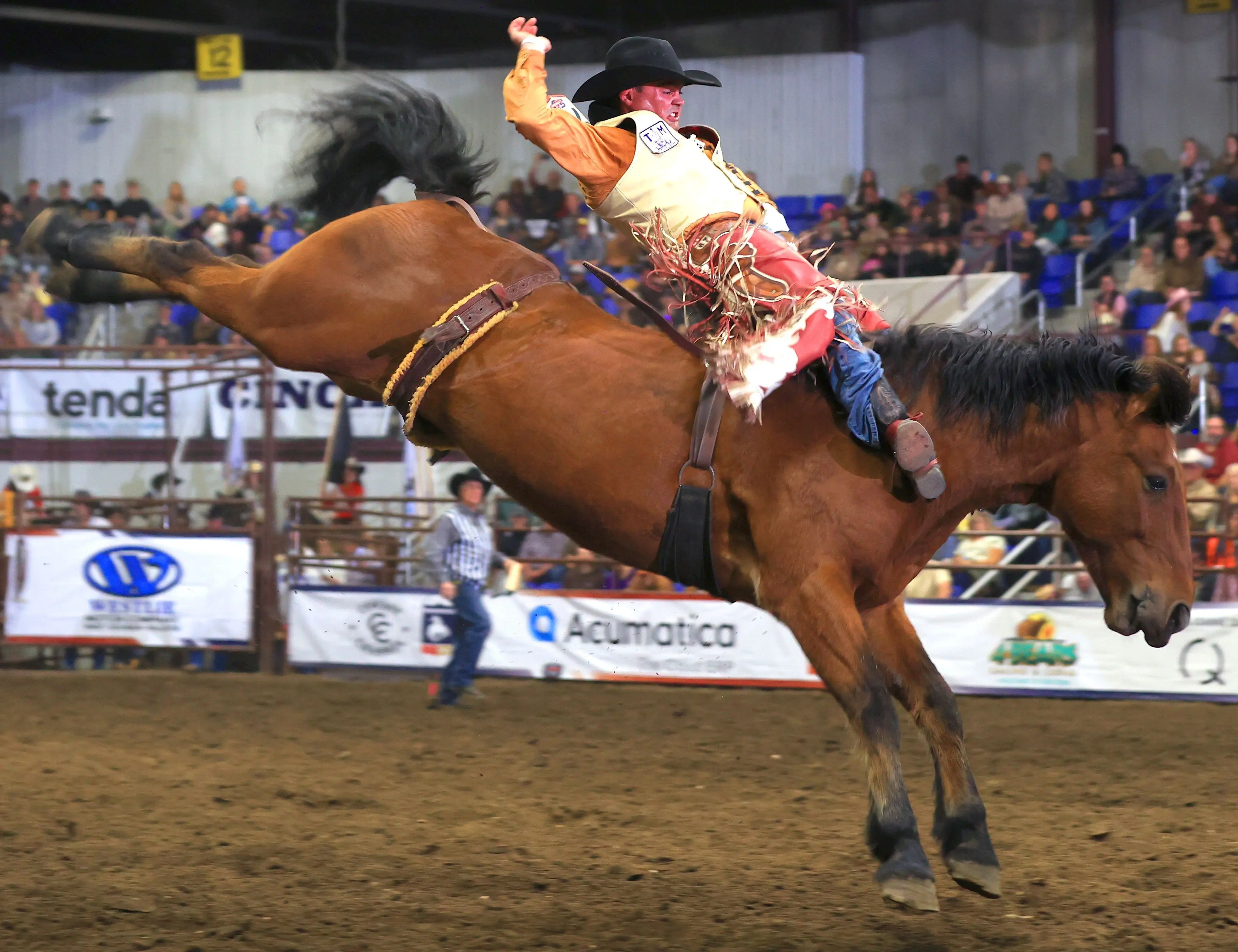 Ticket Sales Open for Badlands Circuit Finals Rodeo | News Dakota
