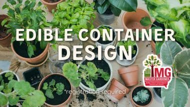 Edible Container Design | KNIA KRLS Radio - The One to Count On