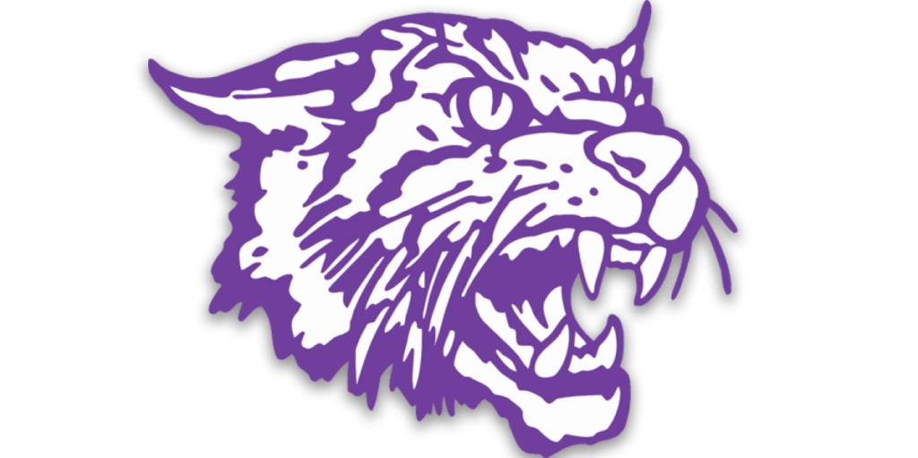 Wildcat volleyball falls to Cardinals in five sets | Raccoon Valley ...