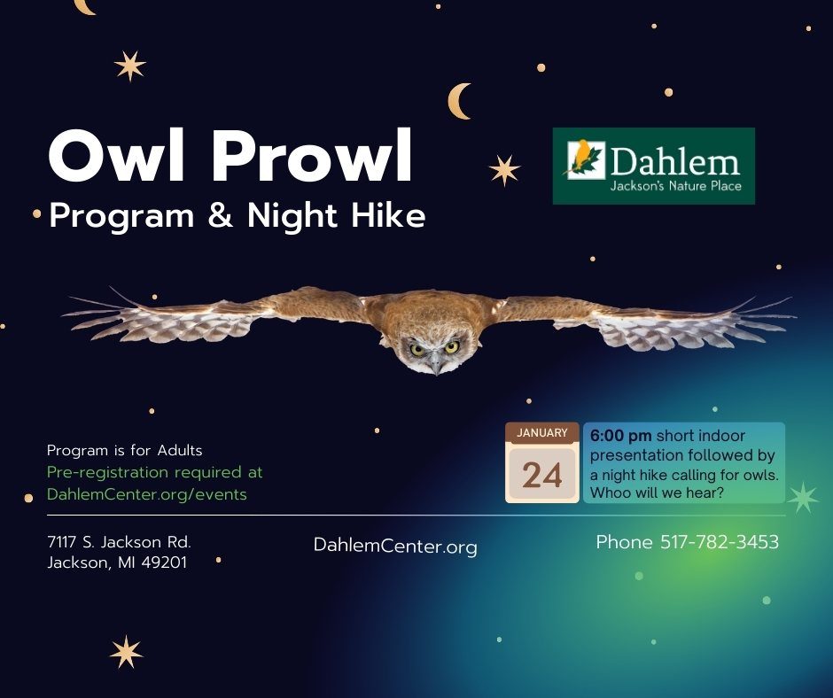 Owl Prowl Program & Night Hike | K105.3