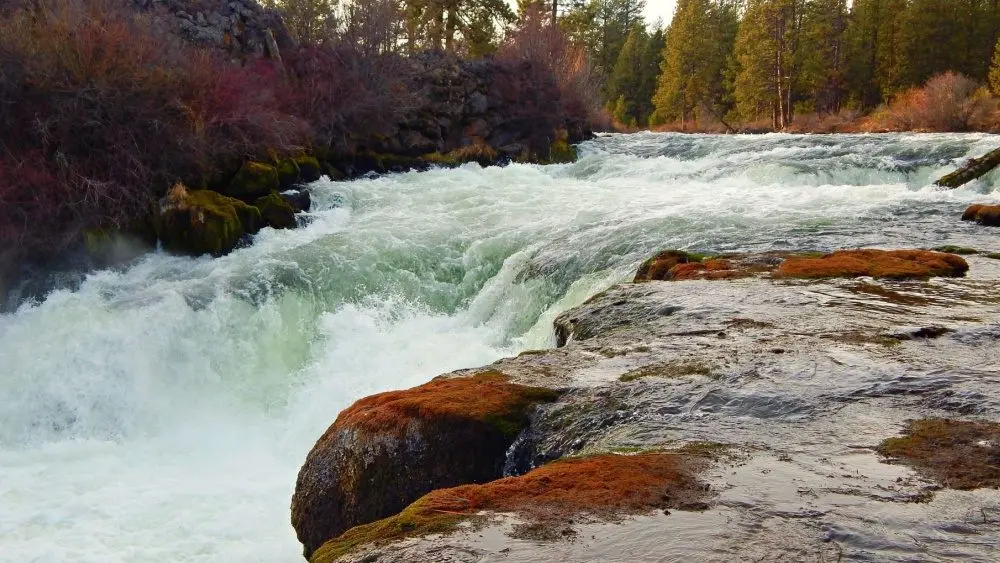 1 killed, 2 missing after group is swept over Oregon waterfall | WCTB