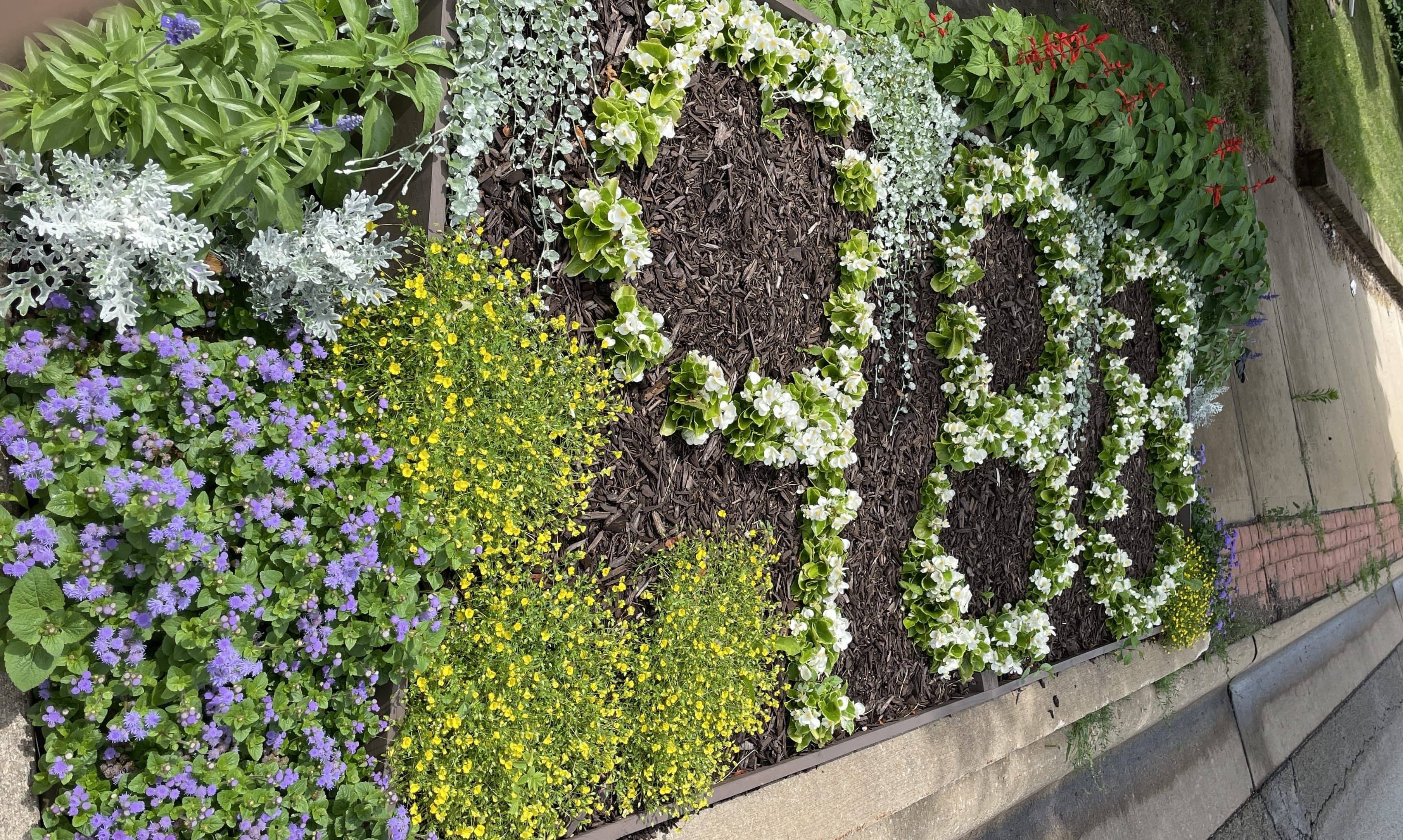  Ways To Bring Hope New Flower Bed In Rockford Highlights Suicide