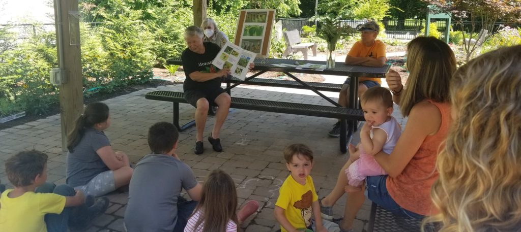 Learning About The Monarch Butterfly At Tree Talk | radio NWTN