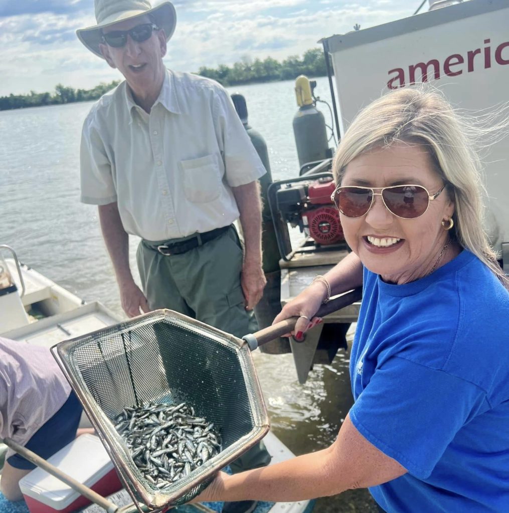 300,000 Fingerling Bass Released Into Kentucky Lake | radio NWTN
