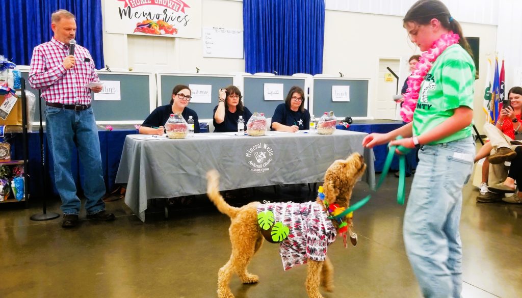 Showing How It's Done In "Fair-A-Dise" | radio NWTN