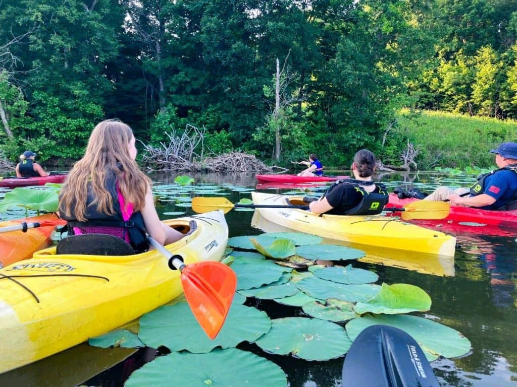 "River Days" To Be Explored At Woodlands Nature Station | radio NWTN