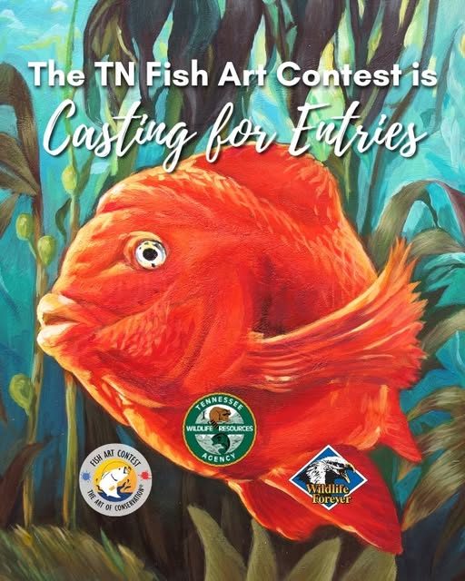 TWRA Youth Fish Art Contest Open | radio NWTN