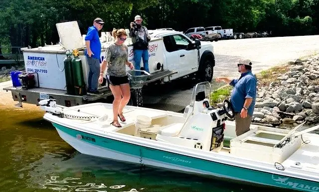 300,000 Bass Fingerlings Released Into Kentucky Lake | radio NWTN