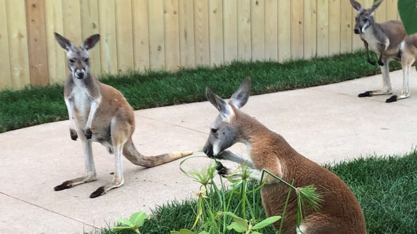 Welcome - 93.1FM WIBC