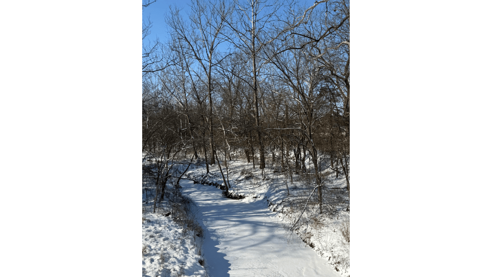 SEDALIA LIFTS EMERGENCY SNOW ROUTES | KMMO - Marshall, MO