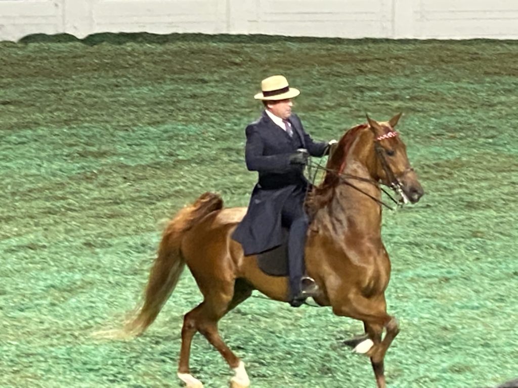 2020 World Championship Horse Show Photos | Ag News Kentucky
