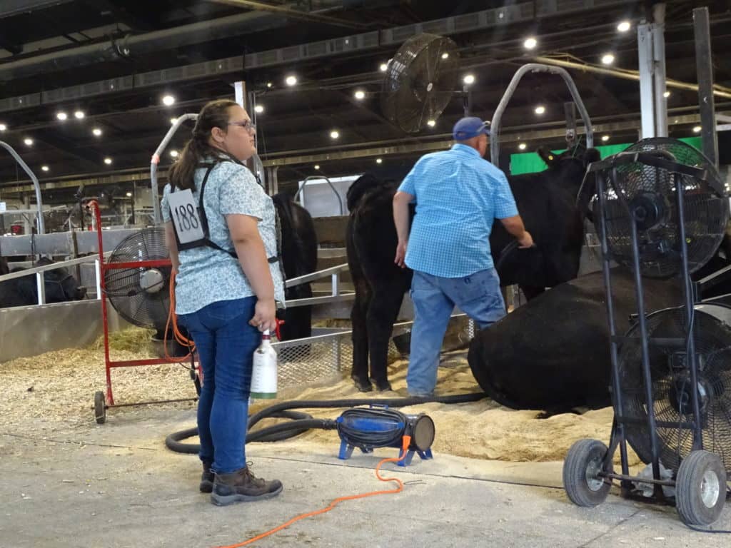 Kentucky Venues President David Beck Discusses North American | Ag News ...