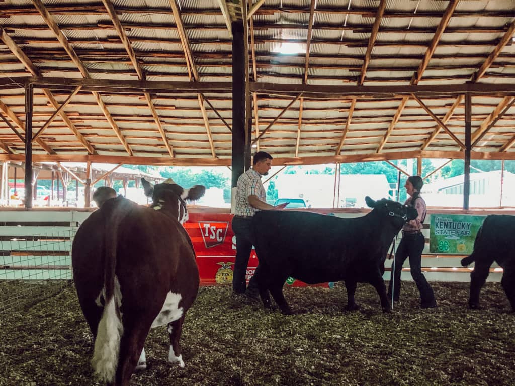 Terry Burks Career In Livestock Judging | Ag News Kentucky