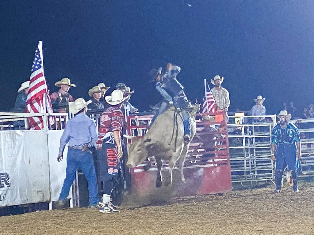 PHOTOS – Bulls, Barrels, & Broncs | Ag News Kentucky