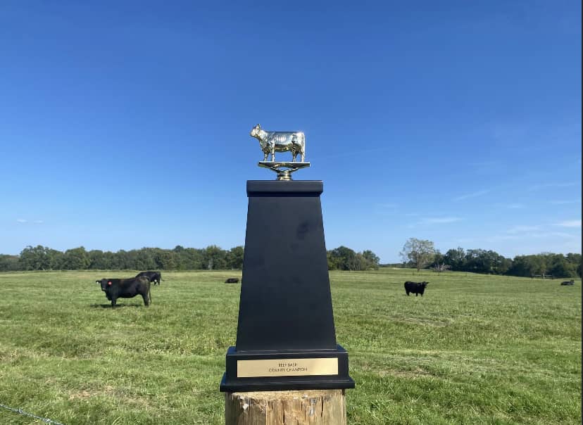 Beef Bash Planned For Thursday | Ag News Kentucky