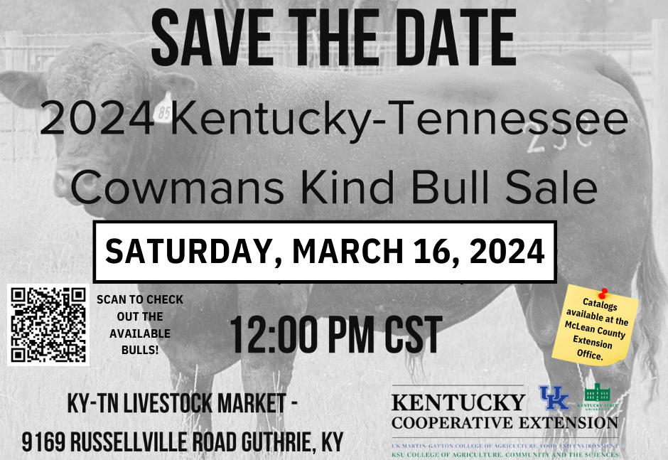 All About The 2nd Annual Cowman's Kind Bull Sale | Ag News Kentucky