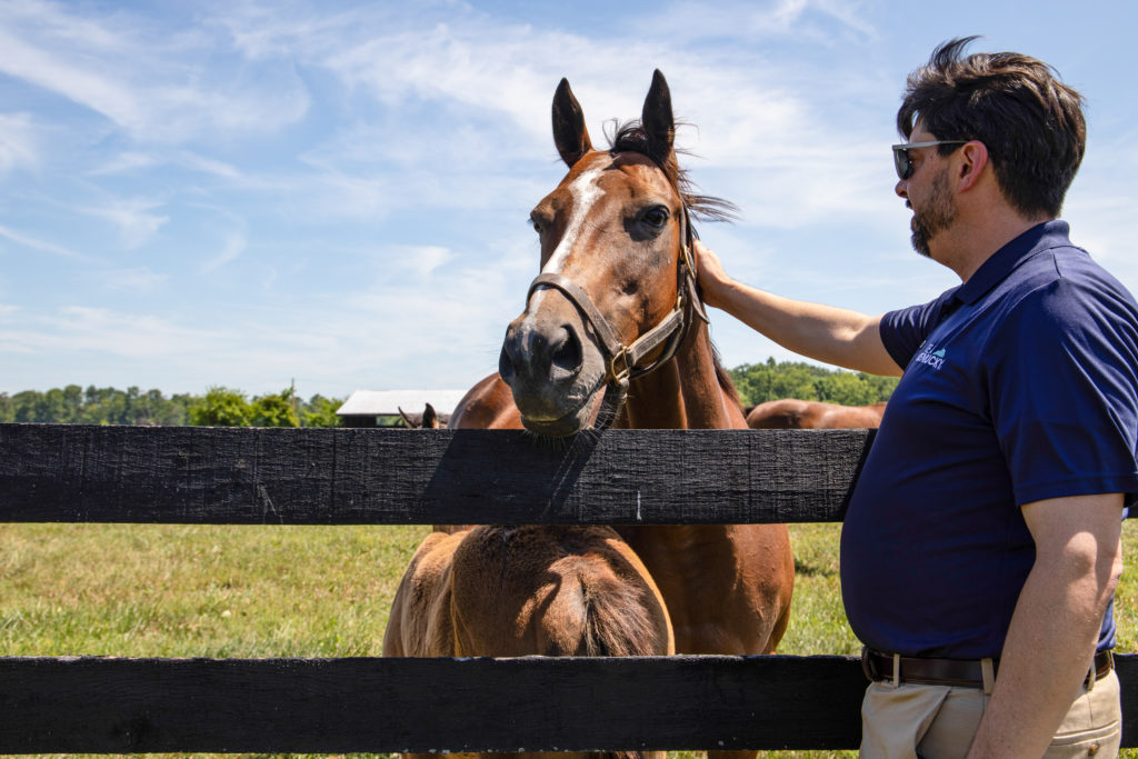 Airdrie Stud Farm | Ag News Kentucky