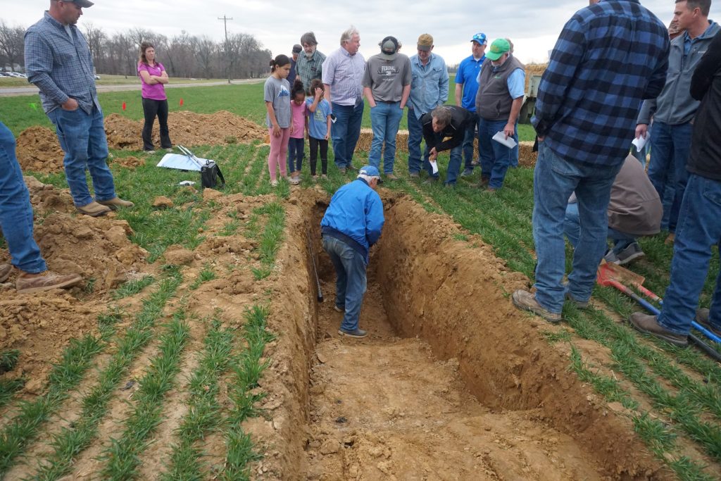 Farmers Learn to Break Down Fragipan with Ryegrass at Soil Building ...