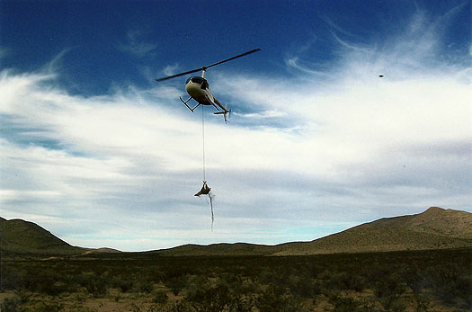 Flying Mule Deer | Brownwood News