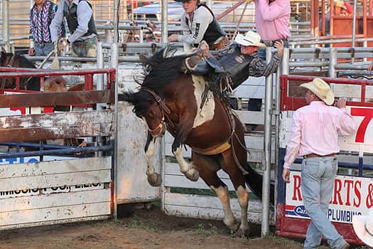 Brown County Rodeo Continues – Photos | Brownwood News