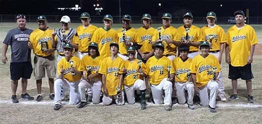 Brownwood Athletics U14 Baseball Team to Host Fundraisers for Trip to ...