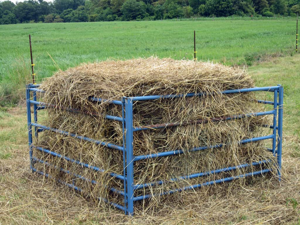 Feeder type impacts hay waste | Brownwood News