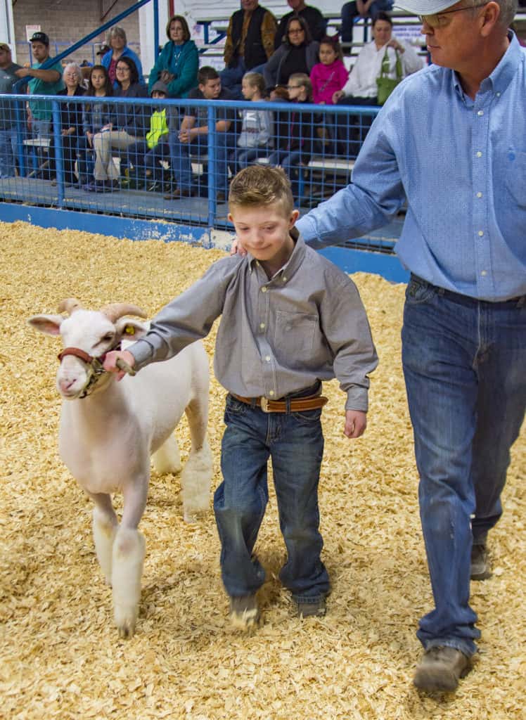 It's Cade's Turn – Perkins Overcomes Cancer to Shine at Youth Fair ...