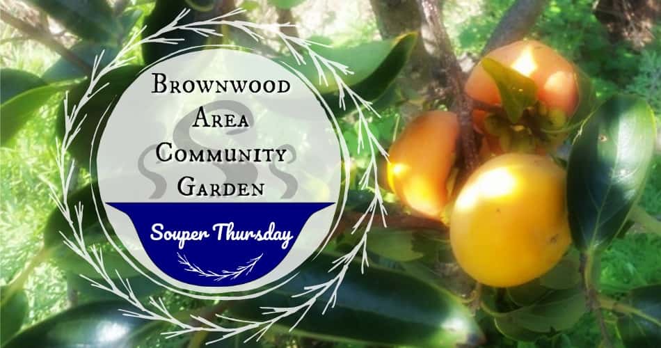 Community Garden to Host 'Souper Thursday' on November 30th | Brownwood ...