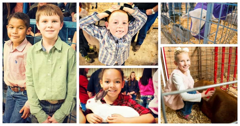 The Stock Show Life Gives Youth Valuable Life Lessons | Brownwood News