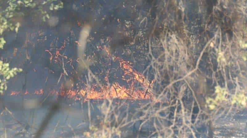 PHOTOS: Grass fires threaten multiple structures | Brownwood News