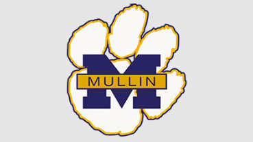 7th annual Mullin FFA pig sale Oct. 4 | Brownwood News