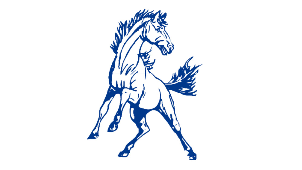 Brookesmith ISD going to remote learning Nov. 17-Dec. 2 | Brownwood News