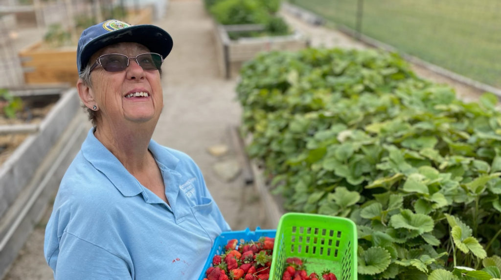 Brownwood Community Garden Operations Report for April 2023 | Brownwood ...