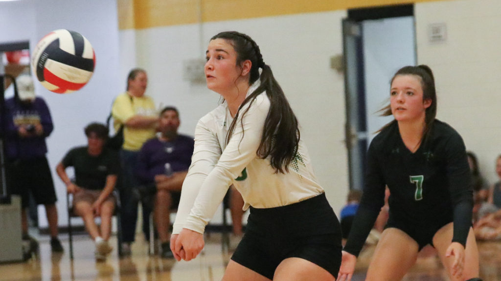 Lady Dragons split final two matches at Hamilton volleyball tournament ...