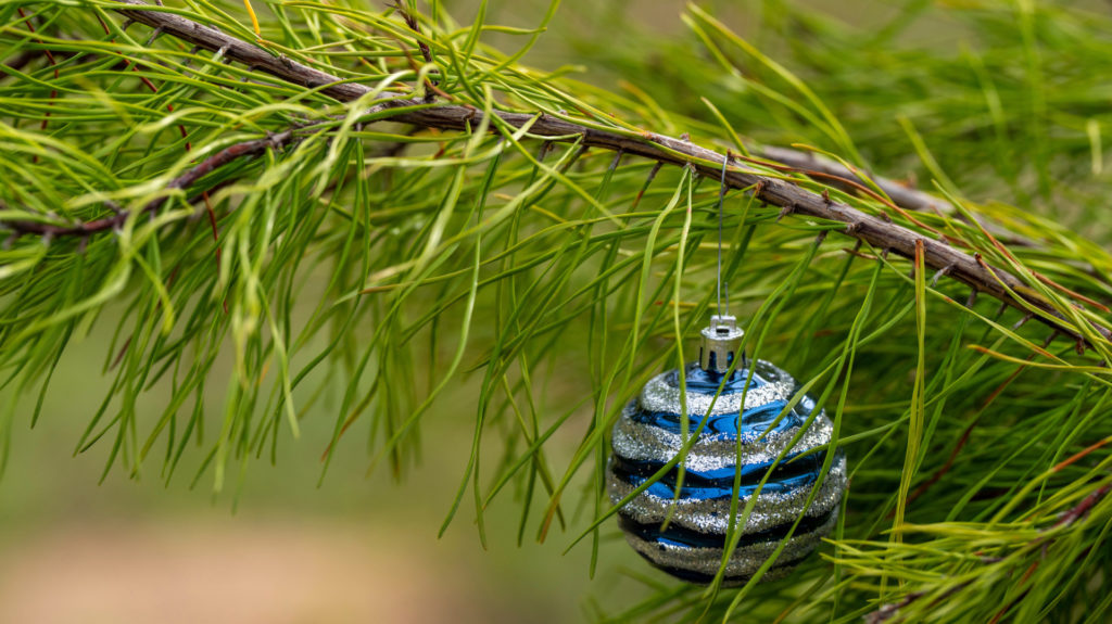 How to sustainably dispose of a real Christmas tree | Brownwood News