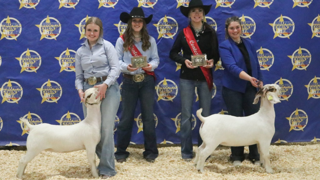 BCYF 2024: Breeding Goat Results | Brownwood News