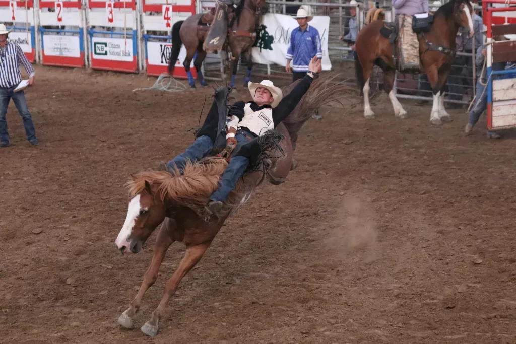 '24 Rodeo | Brownwood News