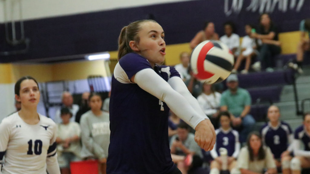 Lady Horns notch second district volleyball victory over Dublin ...