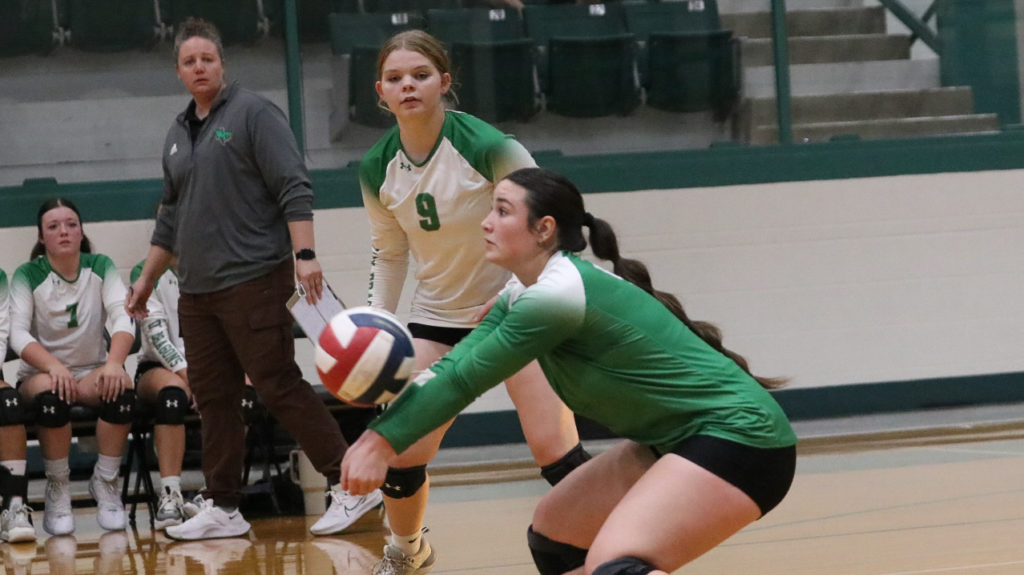 Lady Dragons push Hawley to five sets, but drop bi-district playoff ...