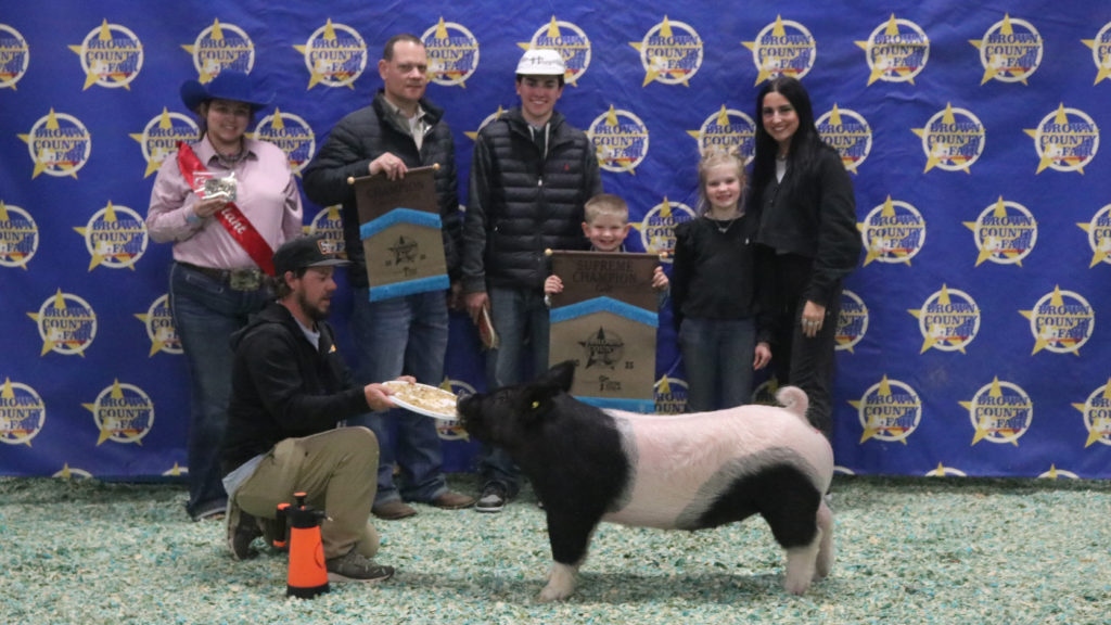 BCYF 2025: Breeding Gilt Results | Brownwood News