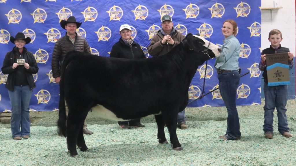 BCYF 2025 Breeding Heifer Results | Brownwood News
