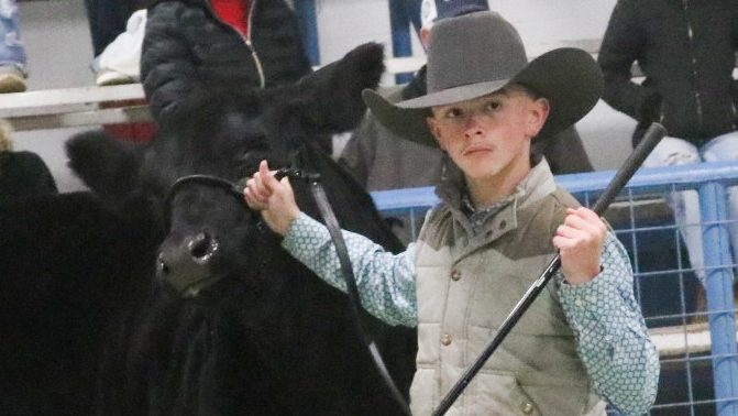 BCYF 2025 Market Steer PHOTO GALLERY | Brownwood News