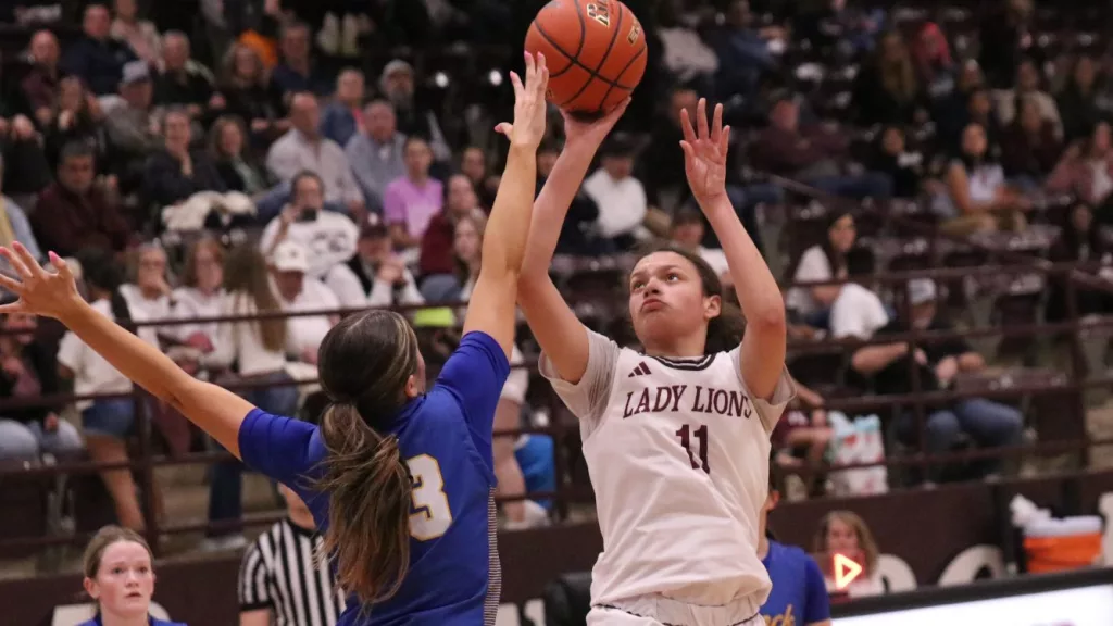 Second-half struggles doom Lady Lions in 66-46 loss to No. 25 Brock | Brownwood News