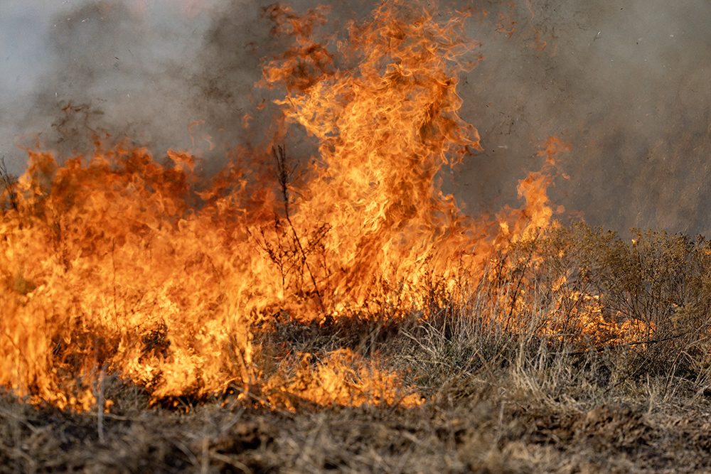 Dry conditions and increased vegetation set stage for higher wildfire ...